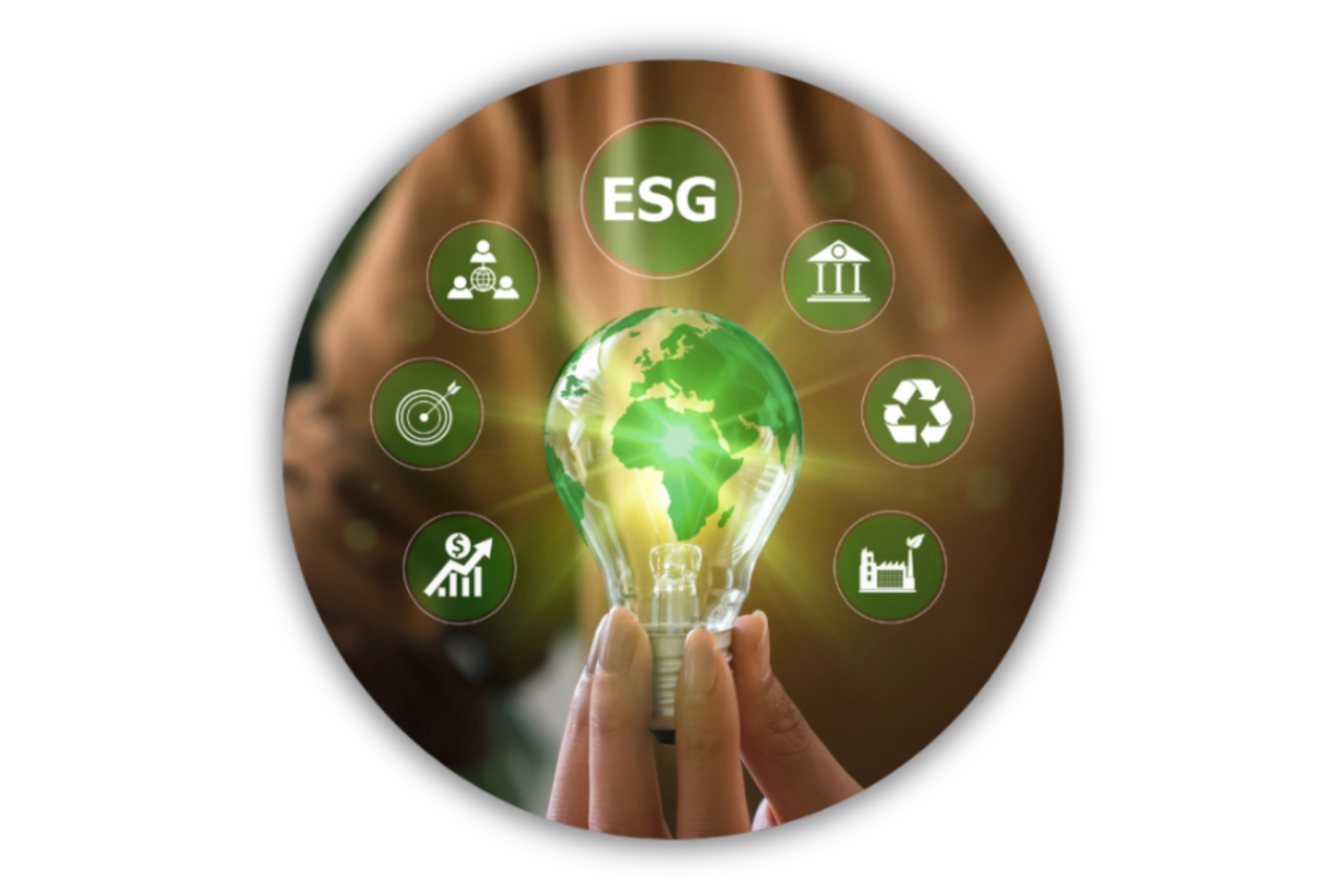 ESG Strategy Development - DataESG